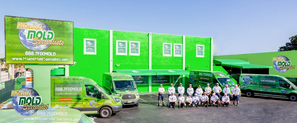 Mold inspection, detection, assessment, and IAQ services- | Miami Mold
