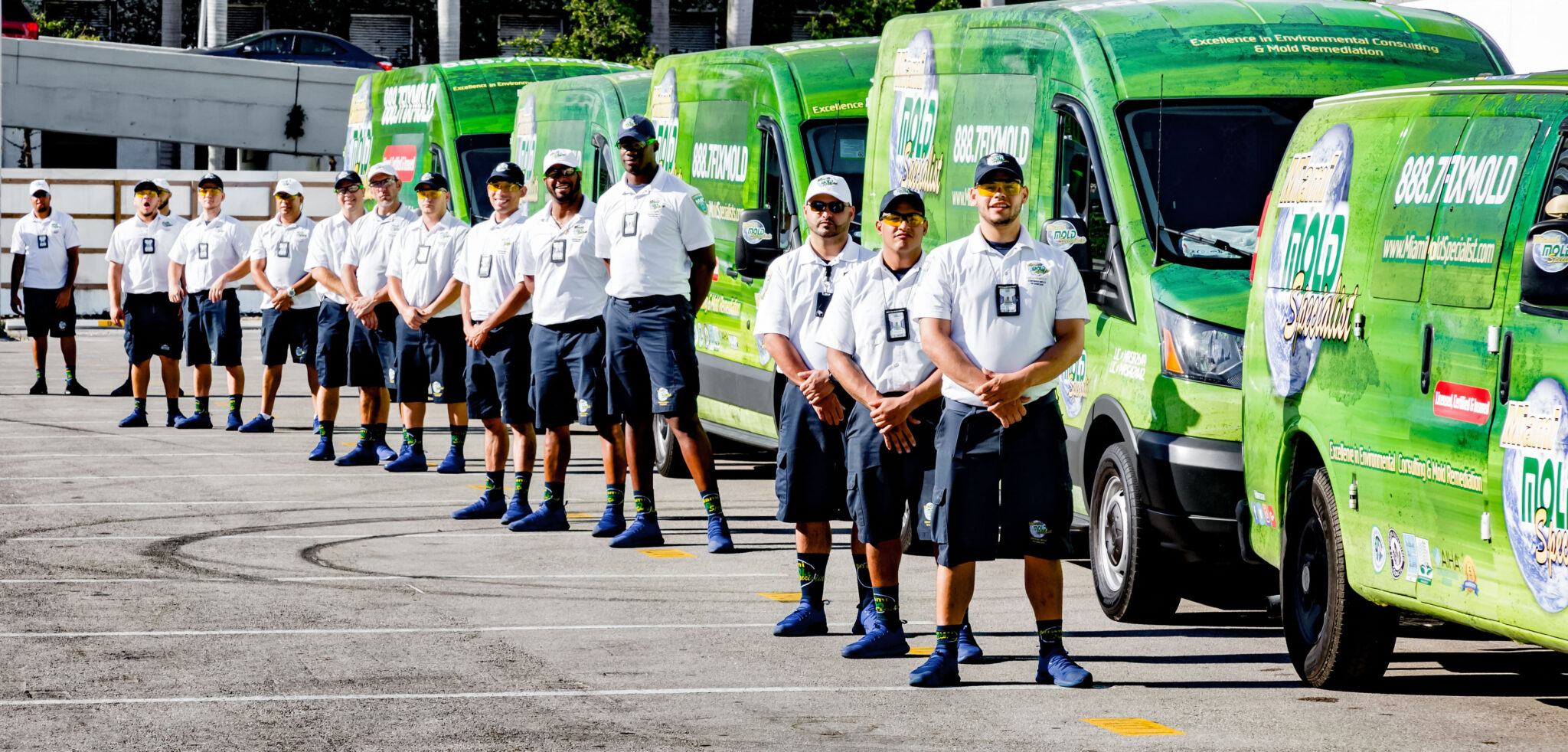 Mold Removal, Mold Remediation, Mold Inspection & Mold Testing Miami ...