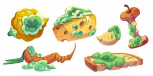 Can You Kill Mold By Cooking It? (Truth About Mold on Food)